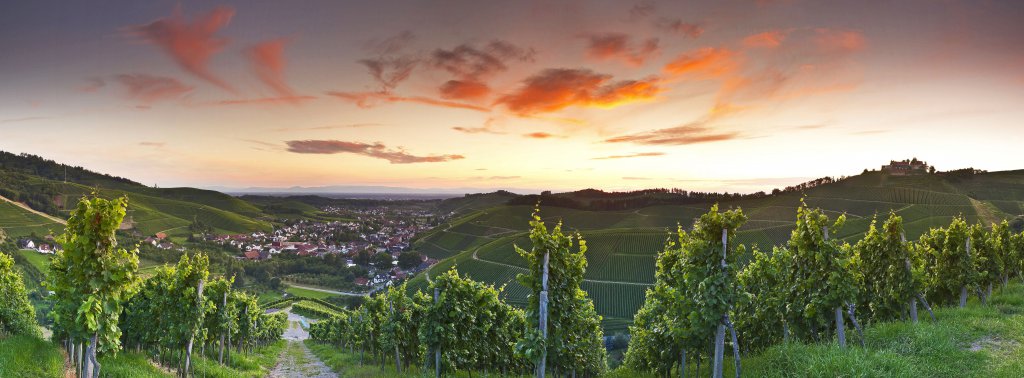 Schloss Staufenberg & Markgraf von Baden - Schloss Staufenberg