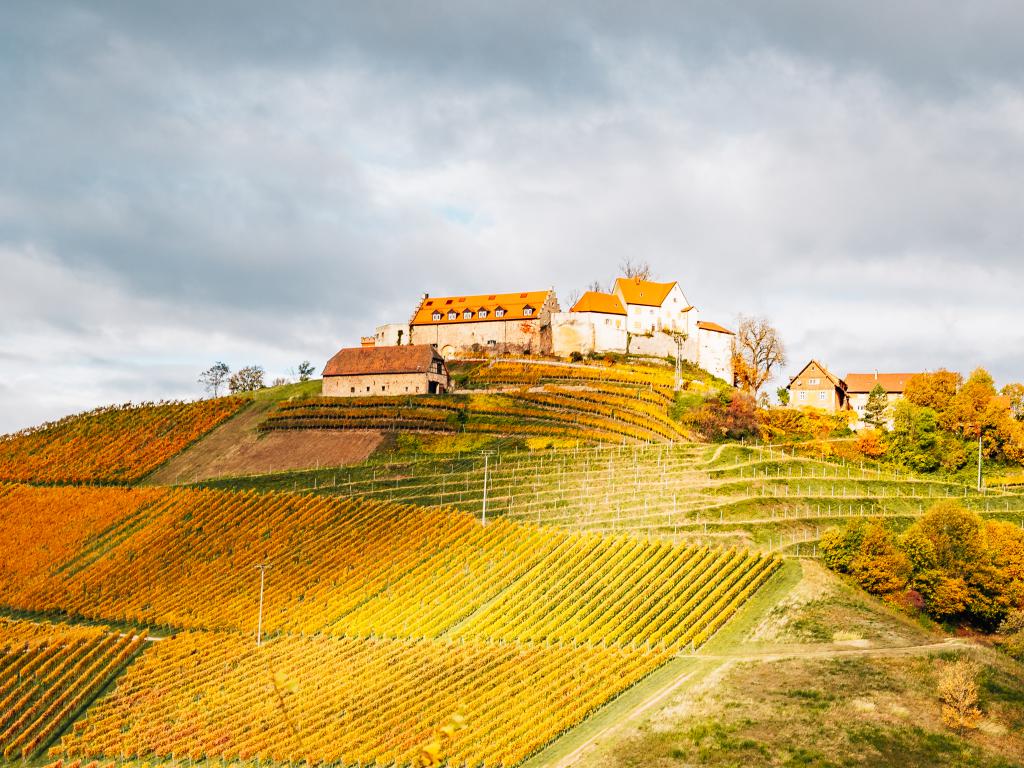Schloss Staufenberg in Durbach - Schloss Staufenberg